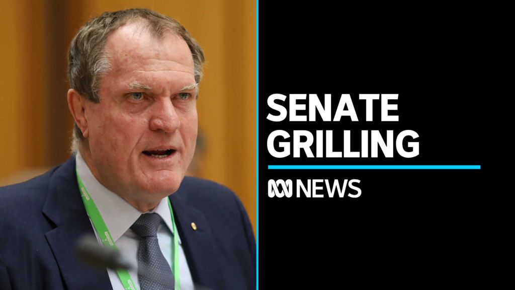 Senate grills treasury officials over PwC scandal - ABC News