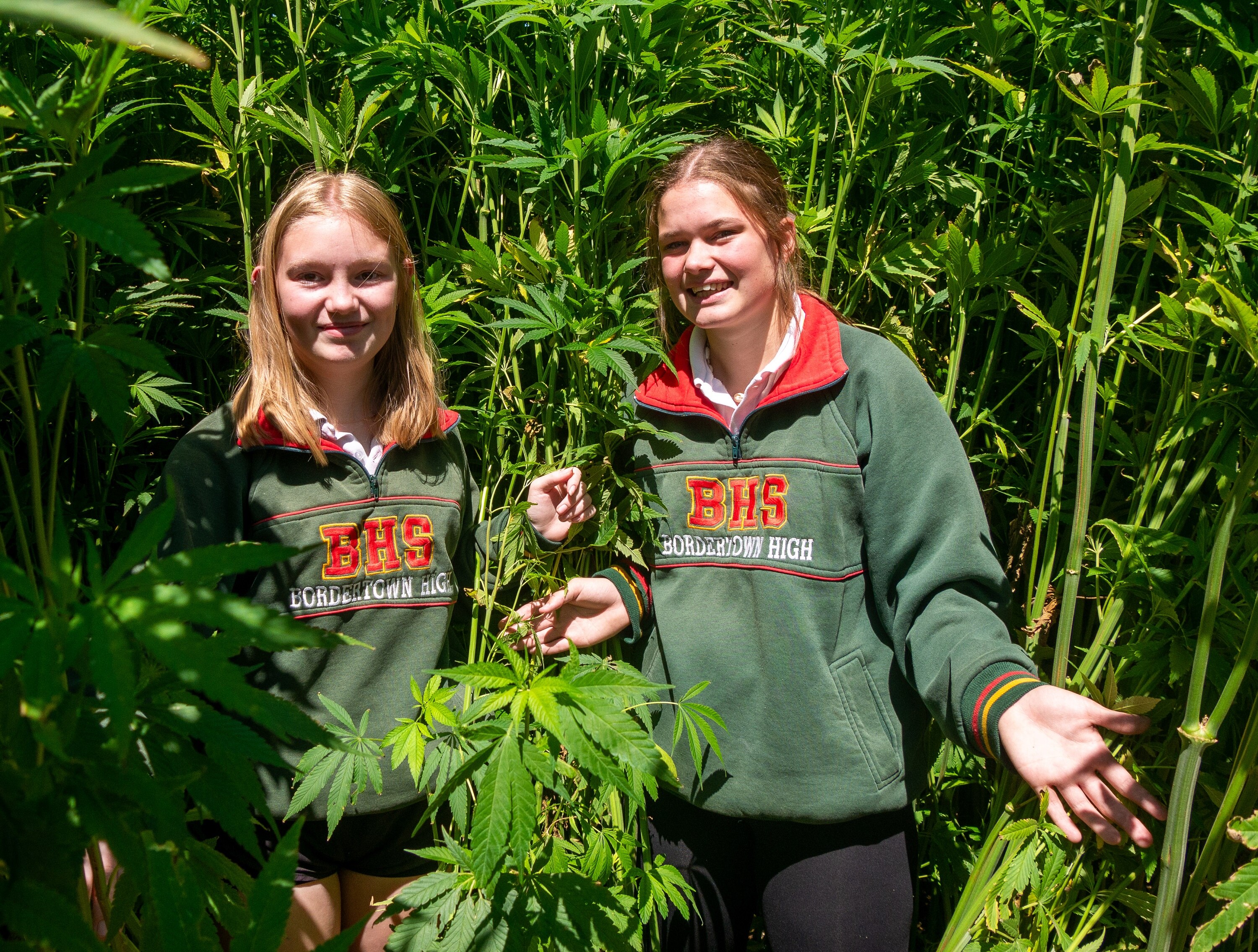 Hemp is a superfood with a low-carbon footprint, and many uses. So why isn't Australia embracing ...