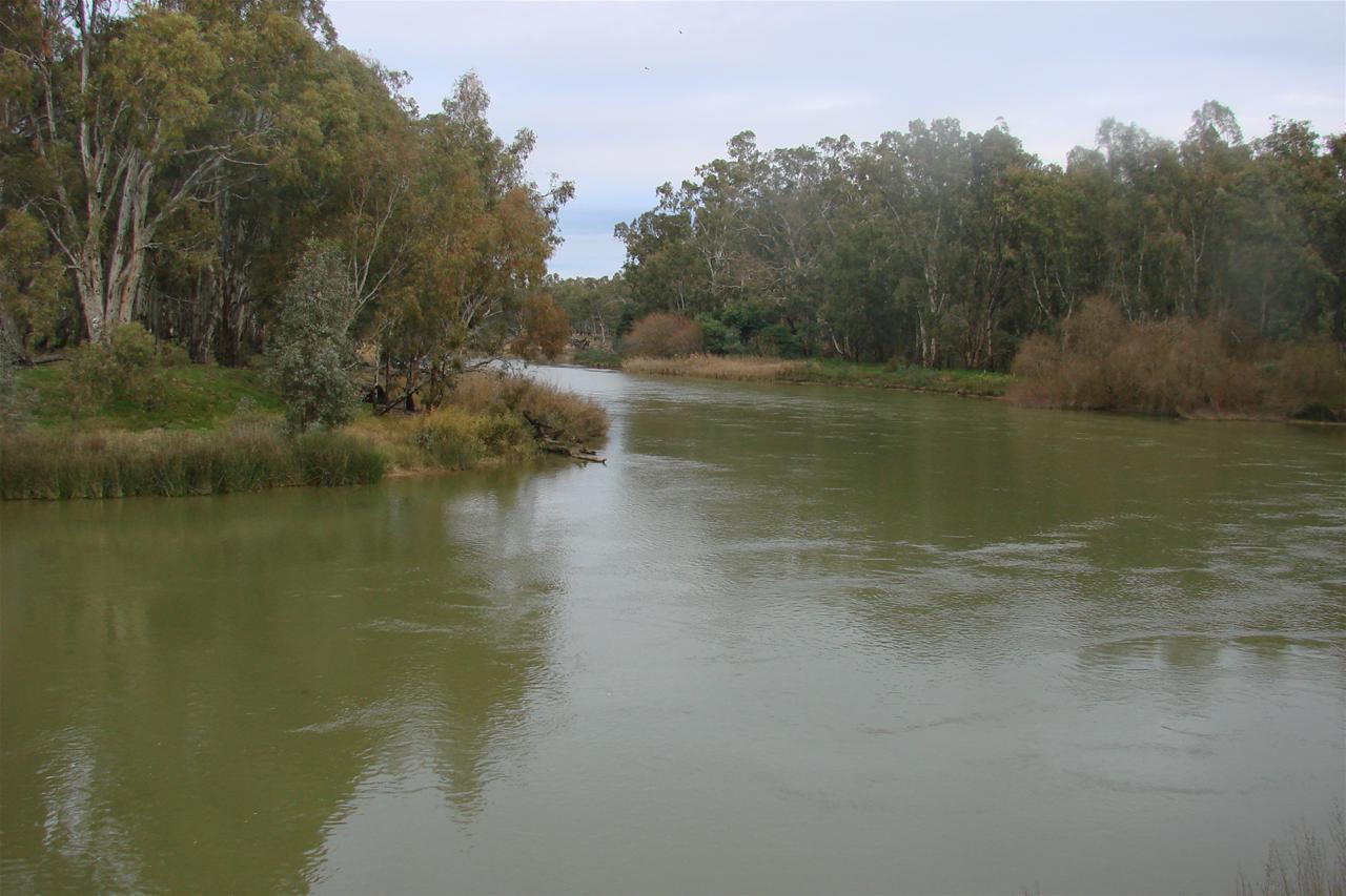 Ross River cases keep rising in SA - ABC News