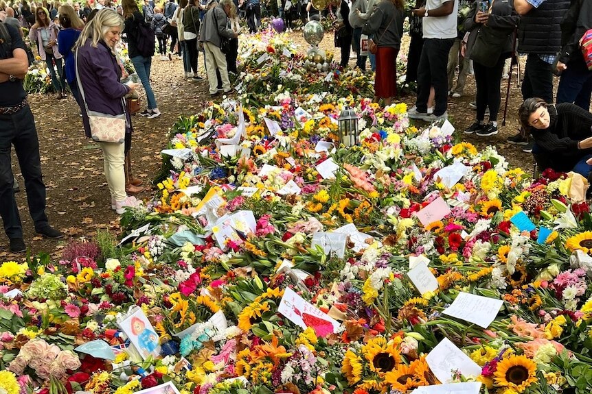 The Friday Panel - Back Together Again - ABC listen