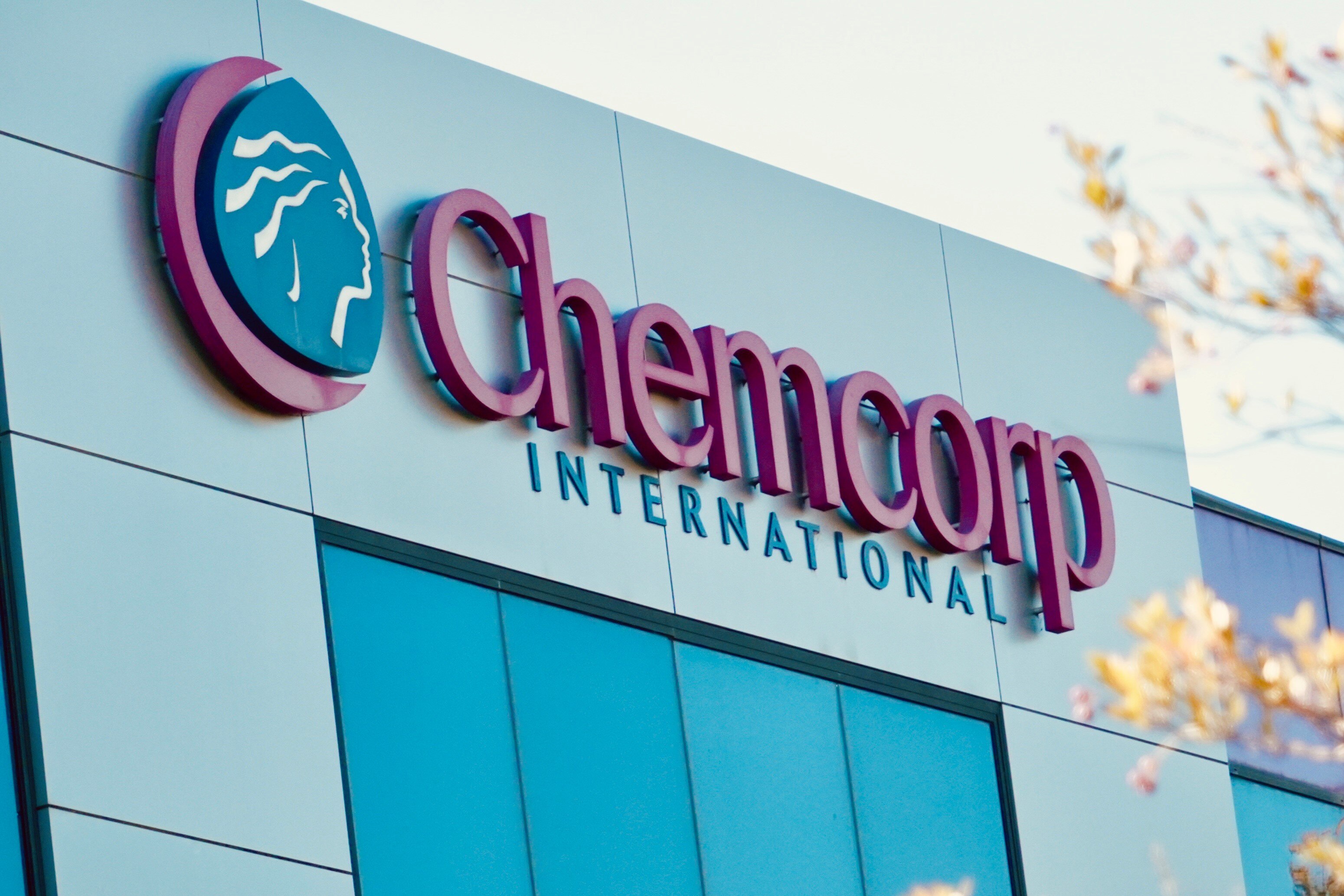 After being sued twice, MCoBeauty has become a multi-million-dollar ...