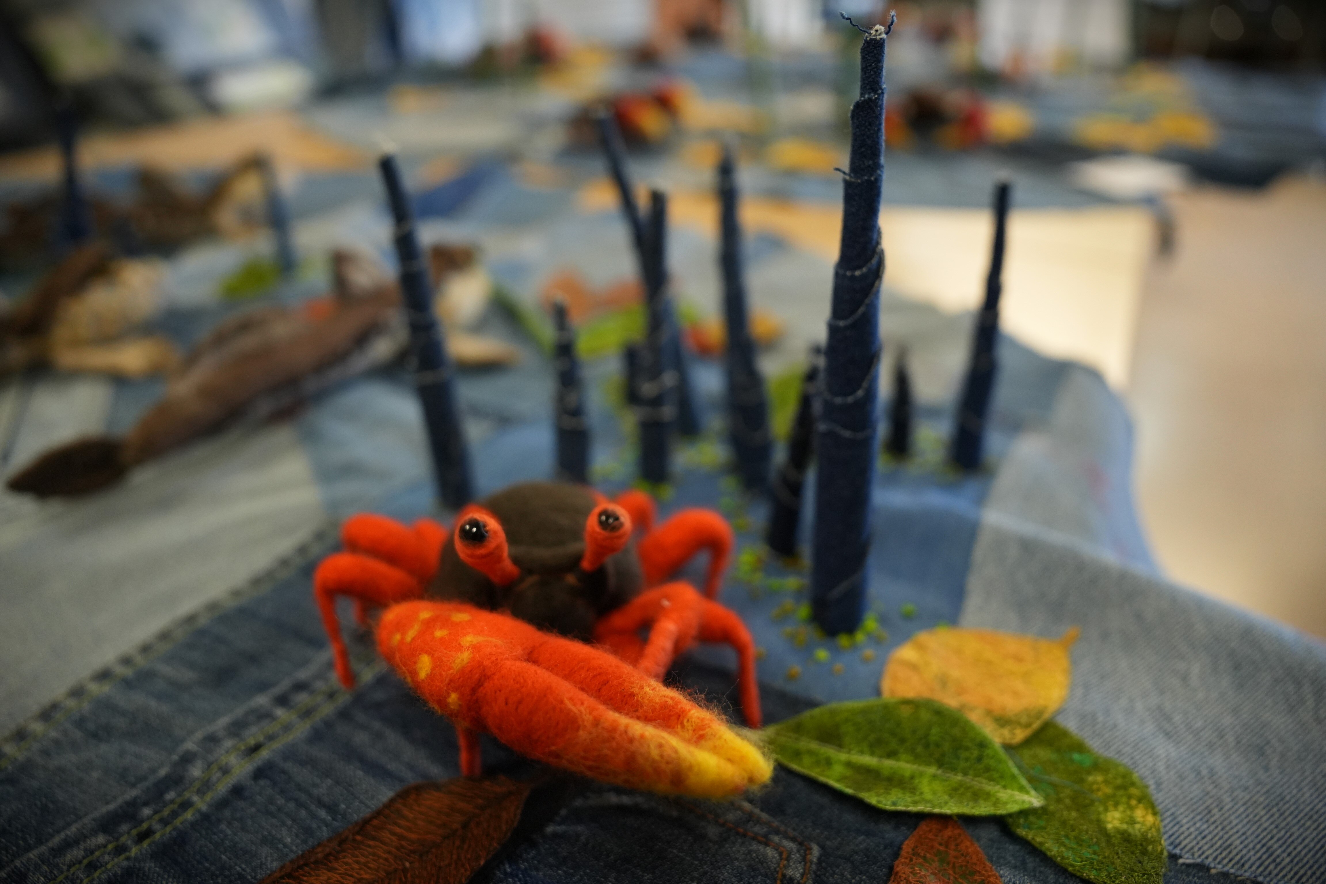 Darwin artists bring magic of tropical mangroves to life for national ...