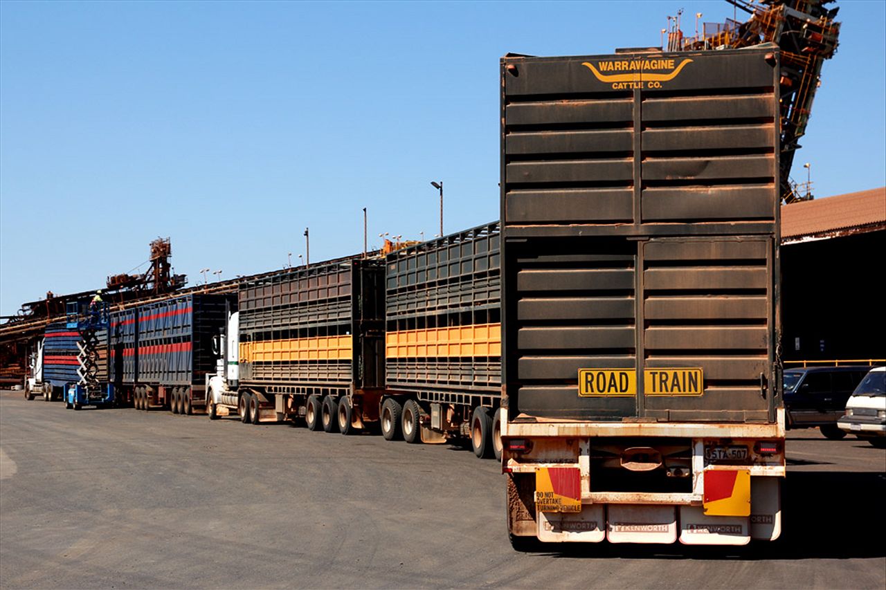 Time running out to export feeder cattle to Indonesia - ABC News