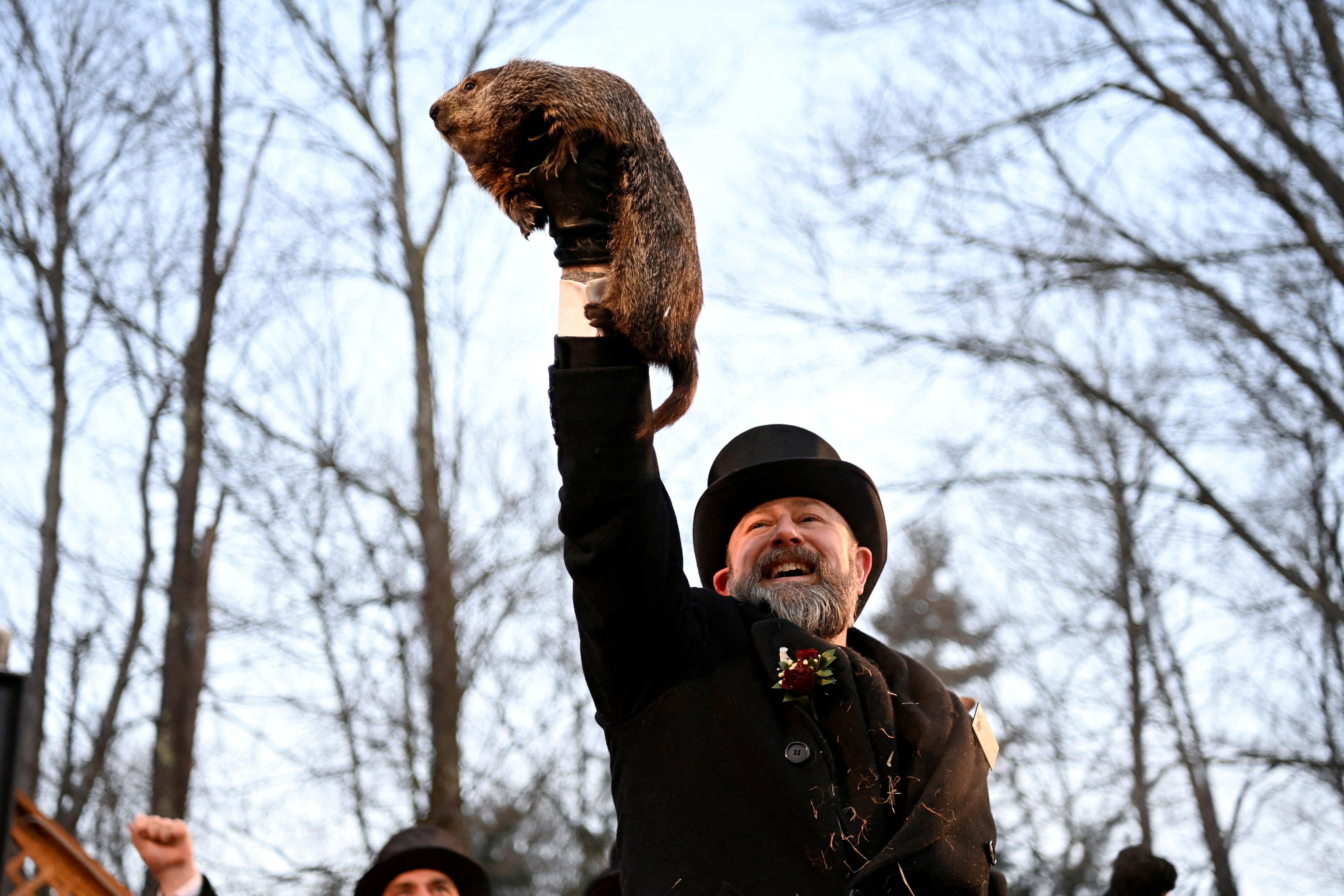 Weather-predicting groundhog Punxsutawney Phil emerges from ...