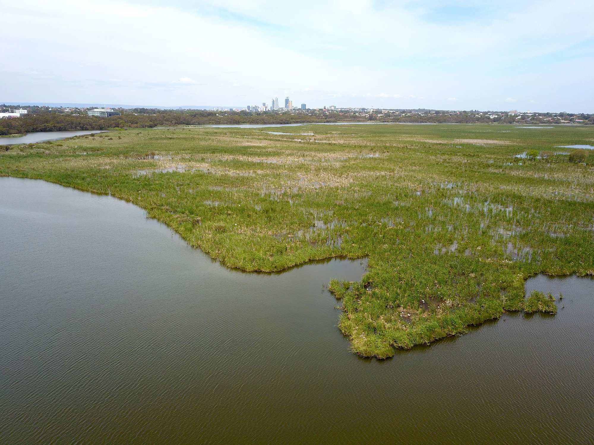 Perth wetlands transformed as winter rainfall revitalises parched ...
