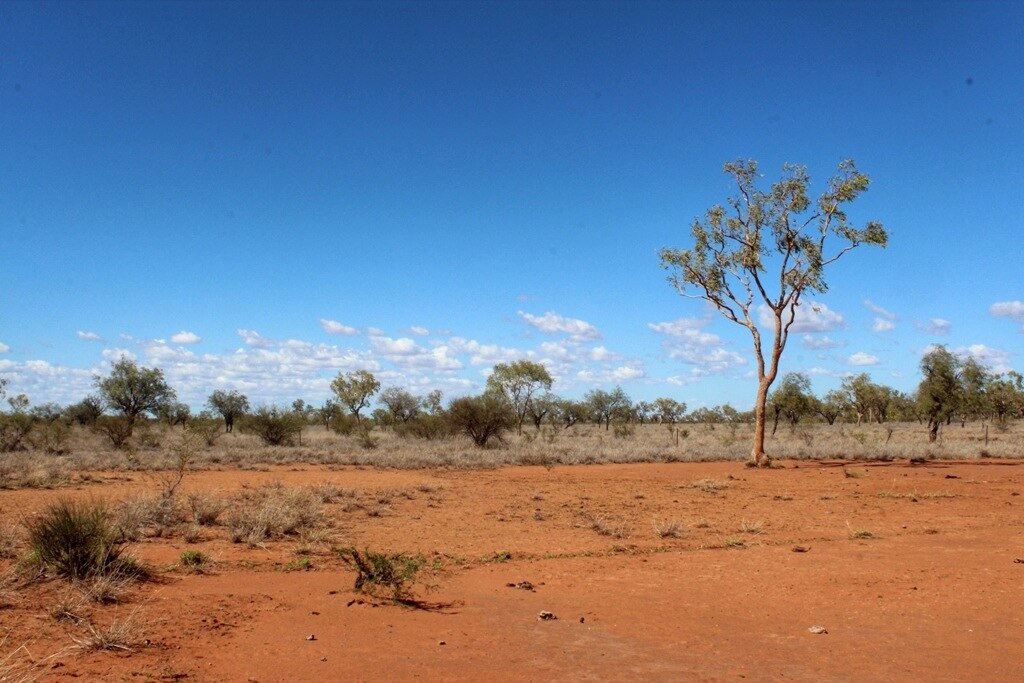 Stapleton Station in the Northern Territory sold to Queensland ...