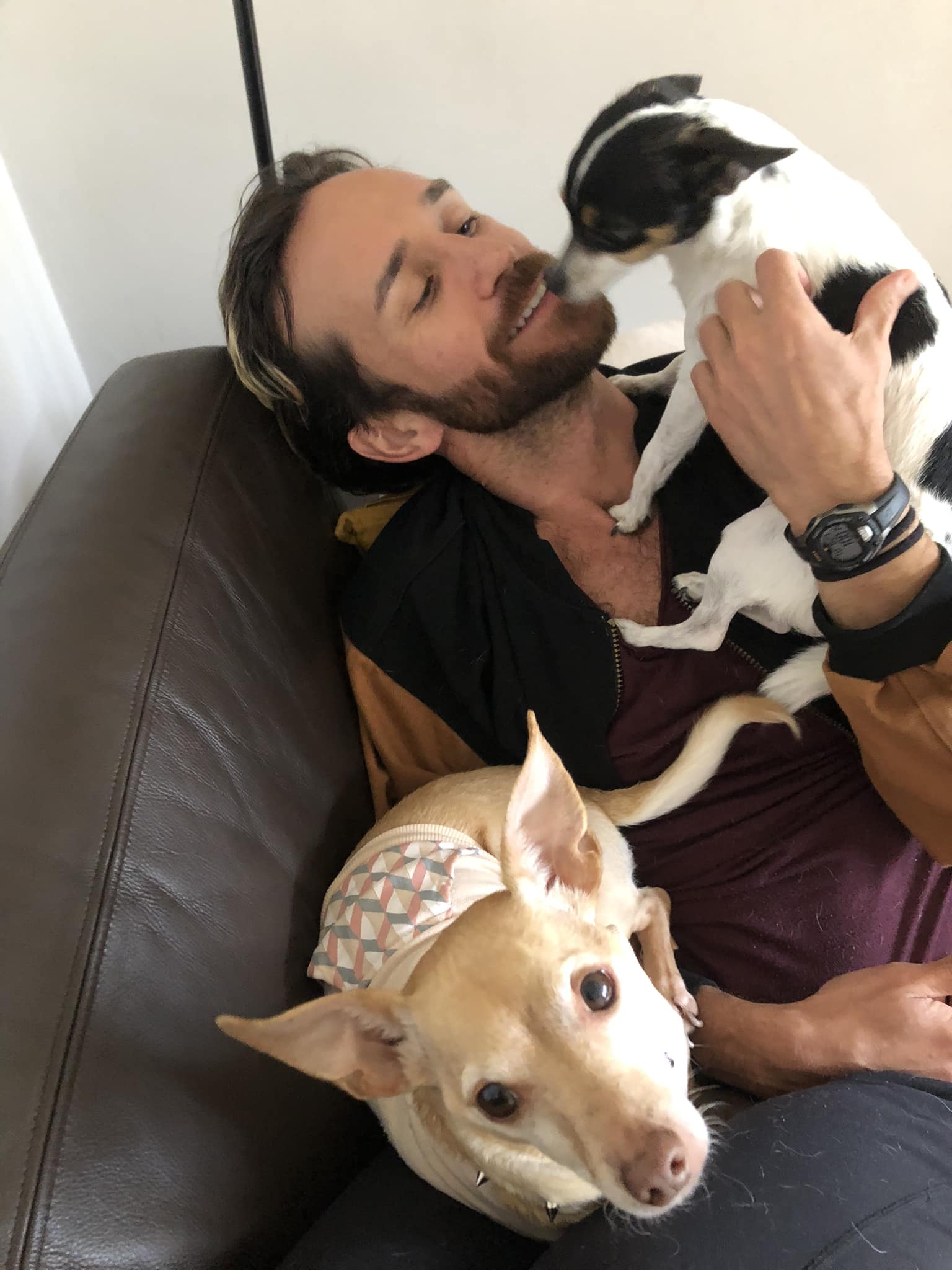 "It's sad for the owner, sad for the dog, sad for my friend who lost ...