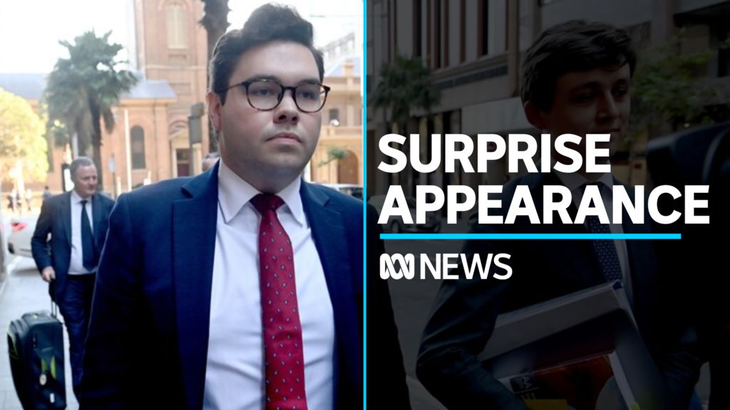 Lehrmann speaks for first time in Federal Court - ABC News