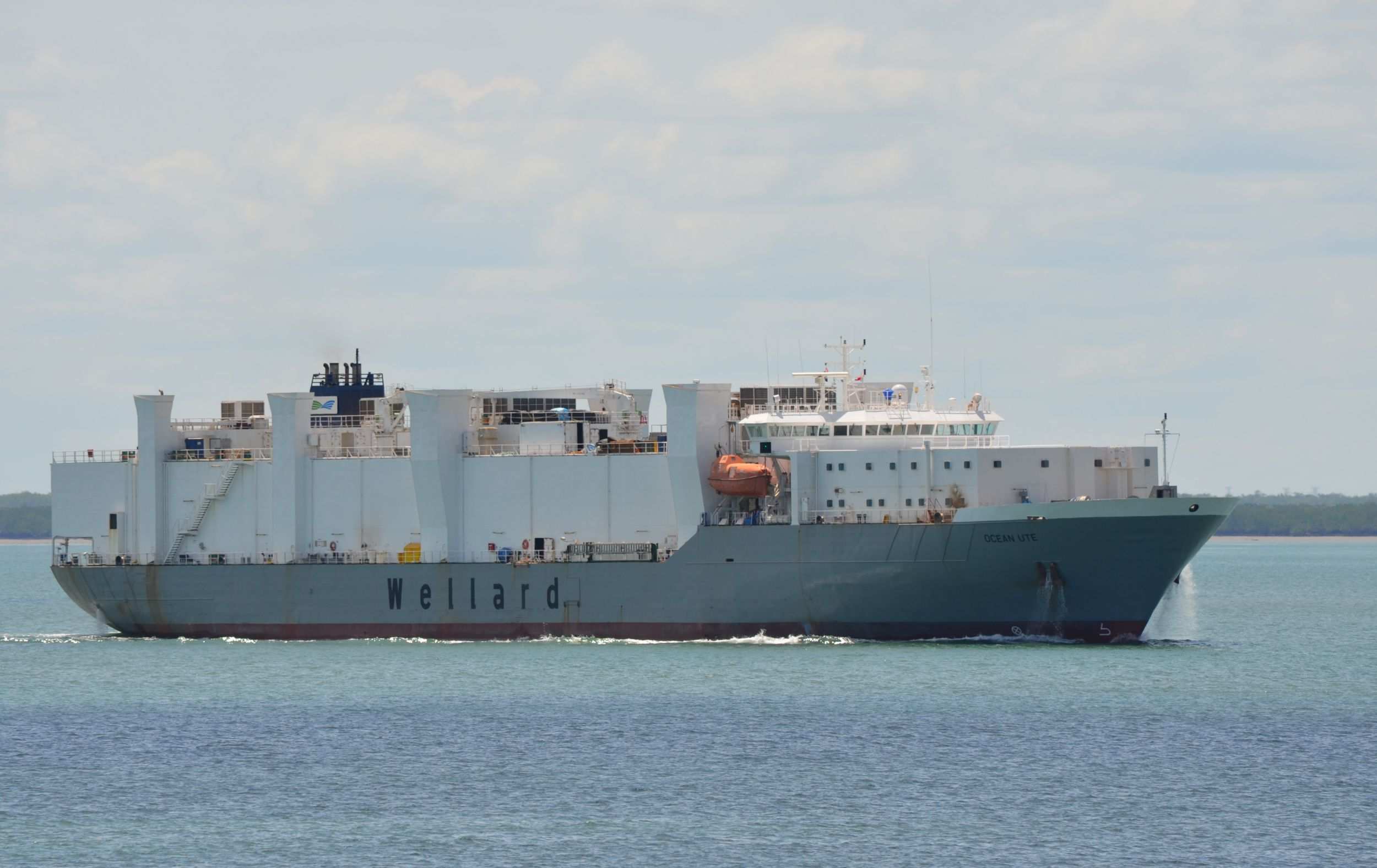 Seven live cattle export vessels loaded at Darwin Port in just eight ...