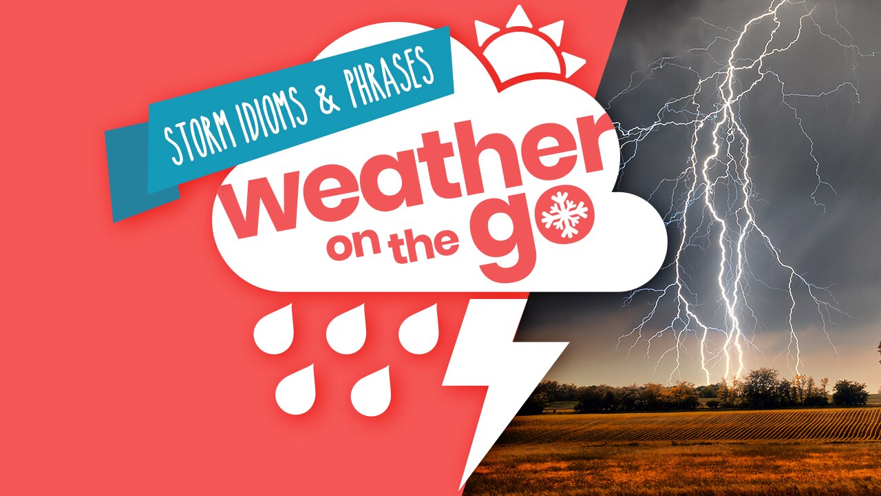 Weather On The Go: Storm idioms & phrases - ABC Education