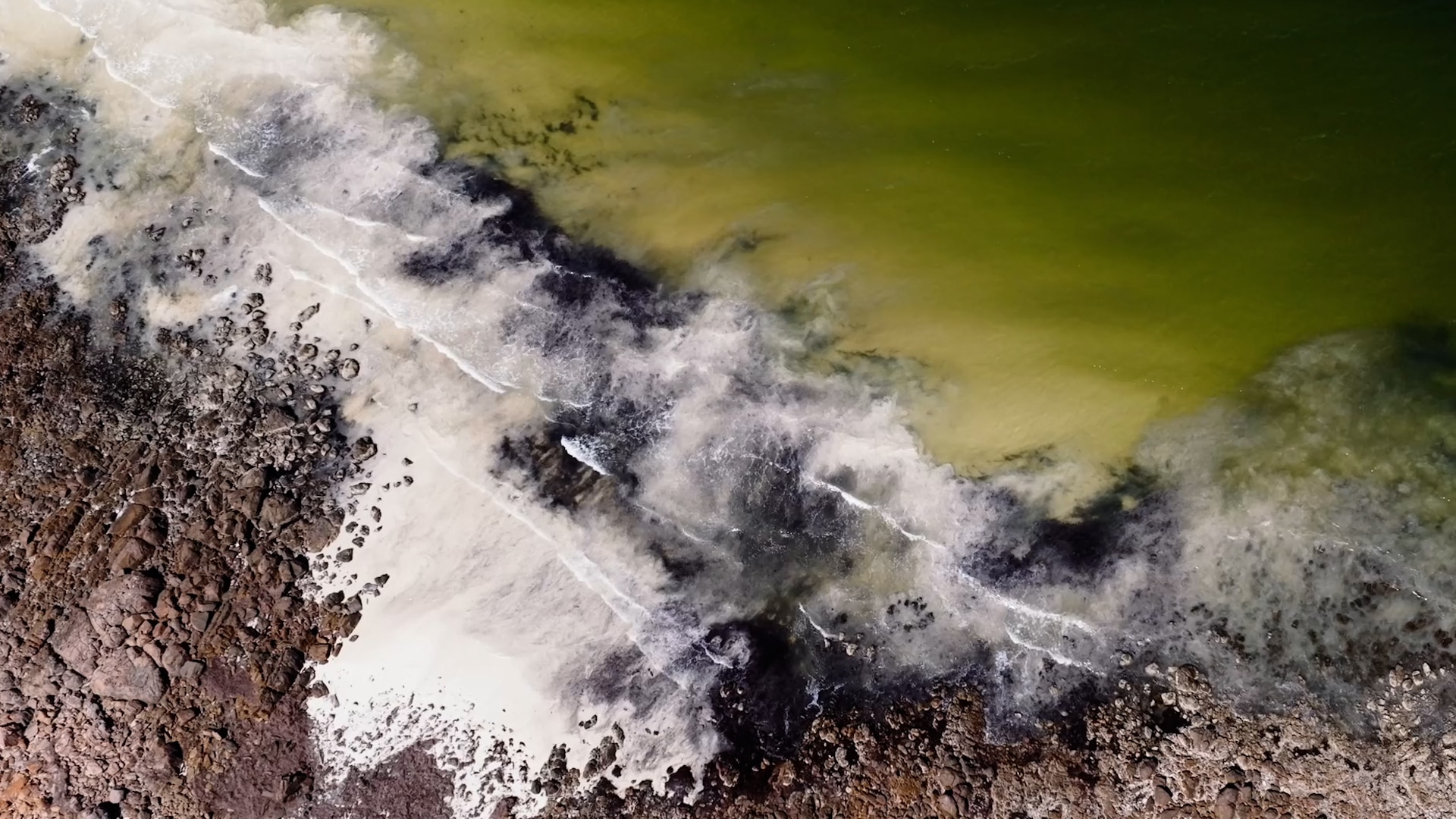 Fight over health problems linked to SA algae - ABC listen