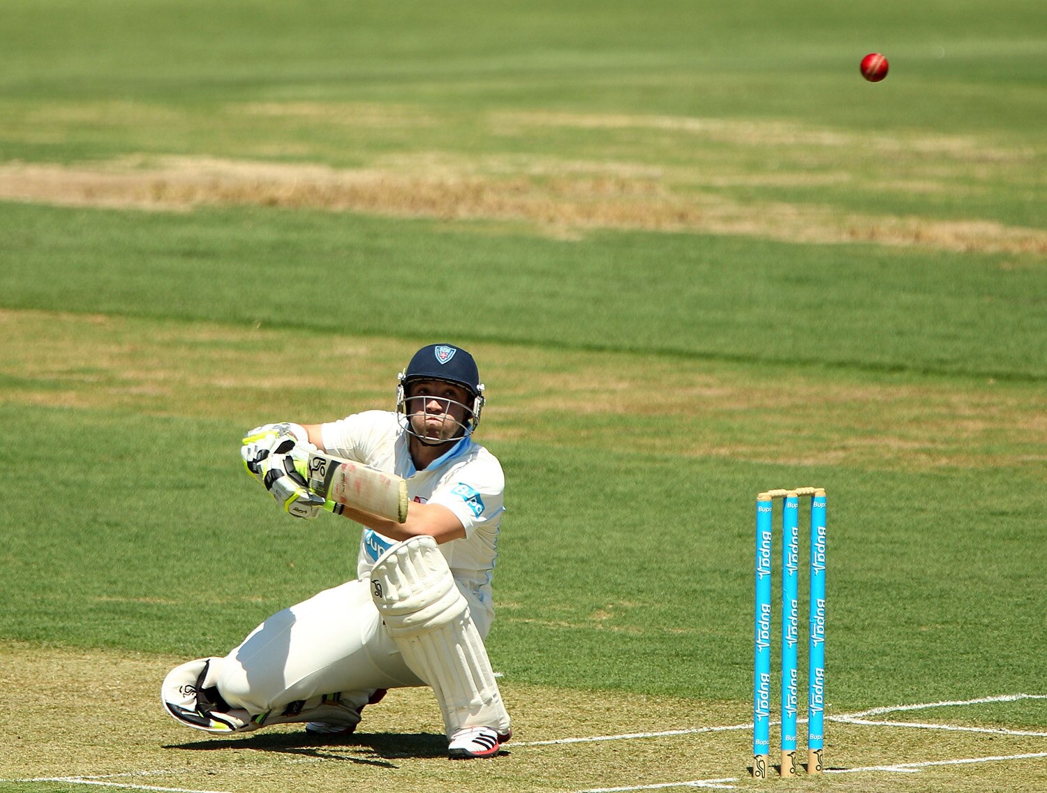 Hughes signs for South Australia - ABC News