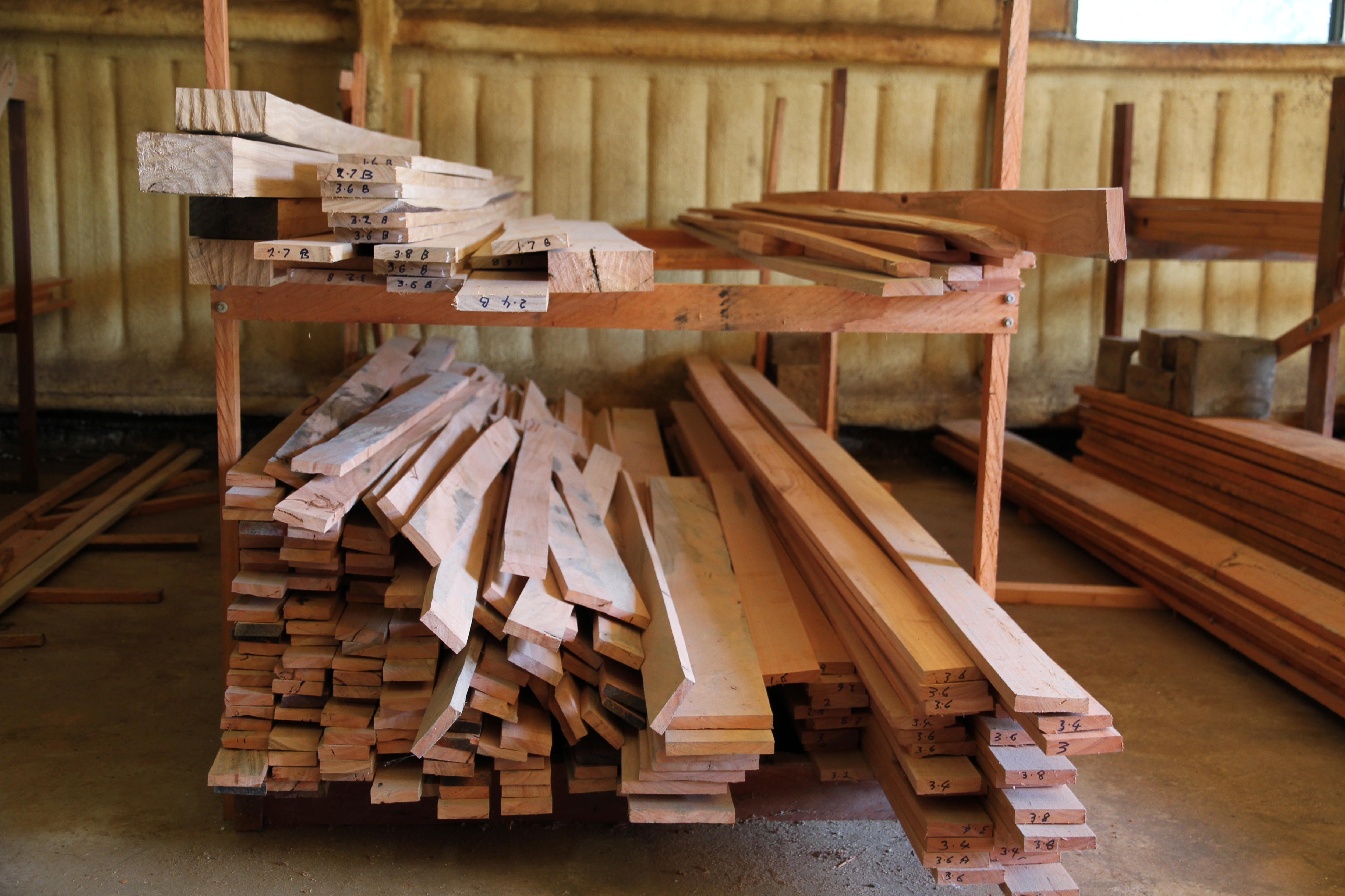 Farmers diversify into gum-tree harvesting as forestry industry ...