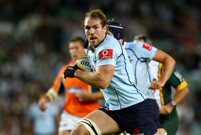Elsom returns for Waratahs - ABC News