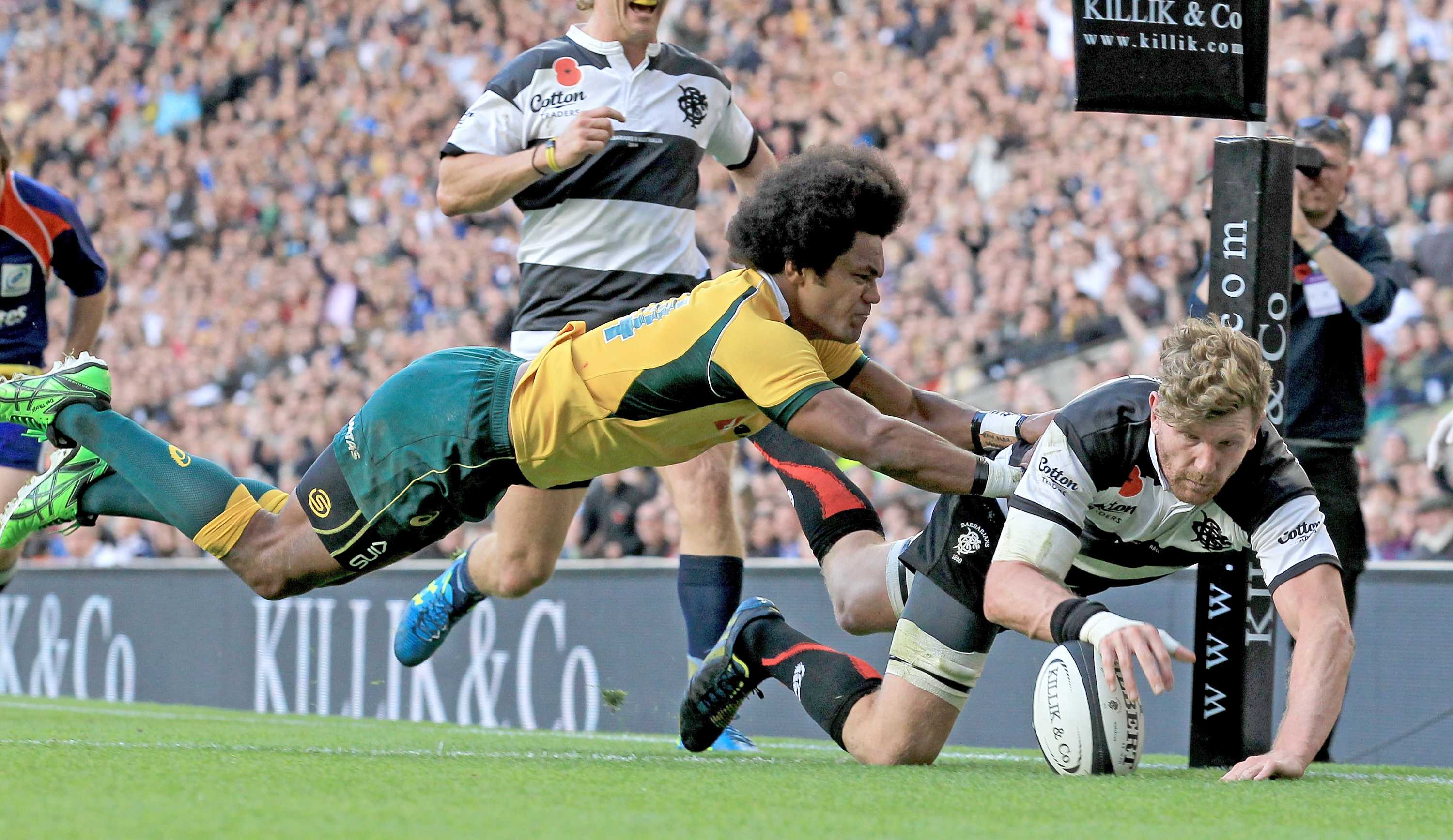 All Black Adam Thomson arrives at Queensland Reds to add aggression for ...