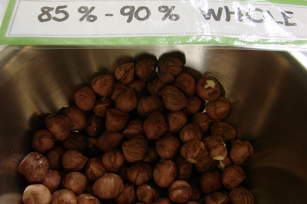 Hazelnuts headed for the Himalayas - ABC News