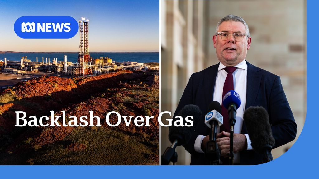 Government faces backlash after approving Woodside gas project ...