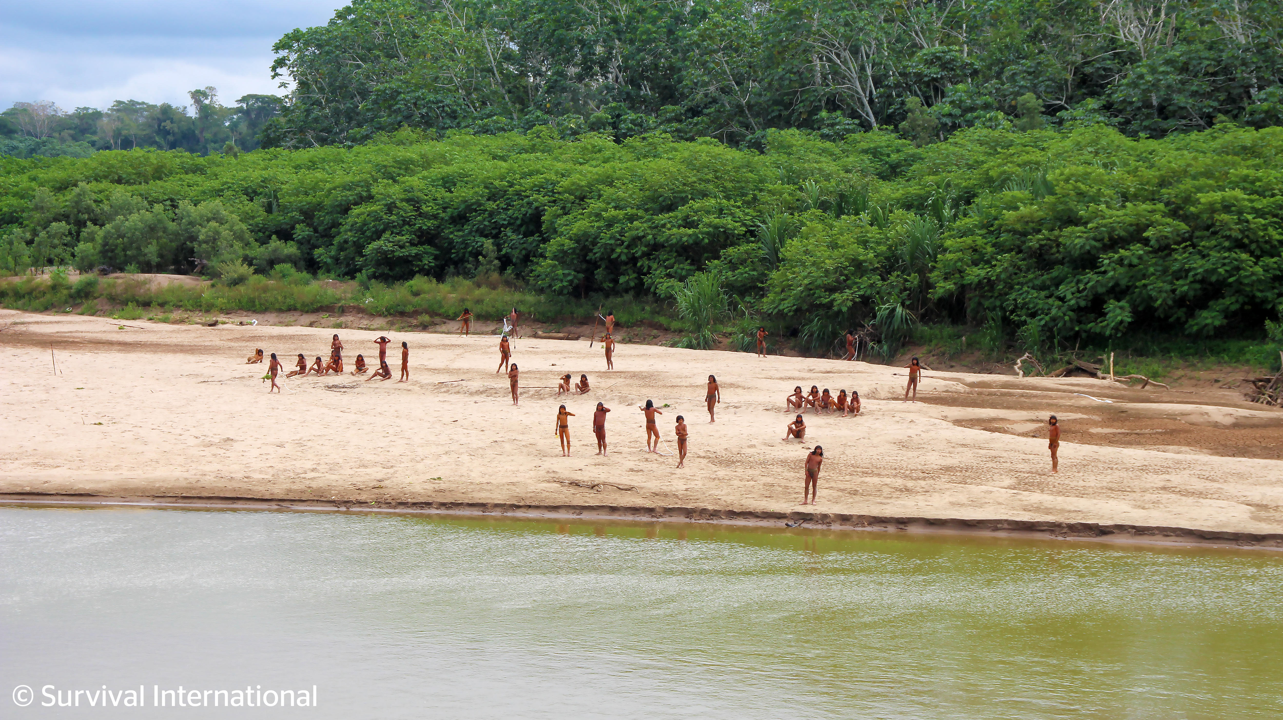 Rare new footage shows 'uncontacted' Mashco Piro tribe in Peruvian ...