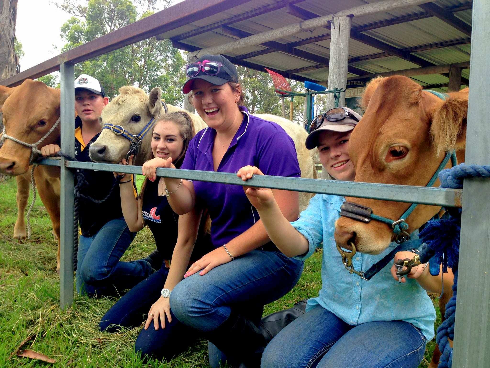 Queensland's 2016 agricultural show season kicks off in Stanthorpe ...