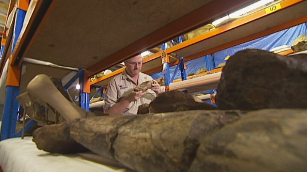 3D printed bones, foam dinosaur part of Queensland council's plans to ...