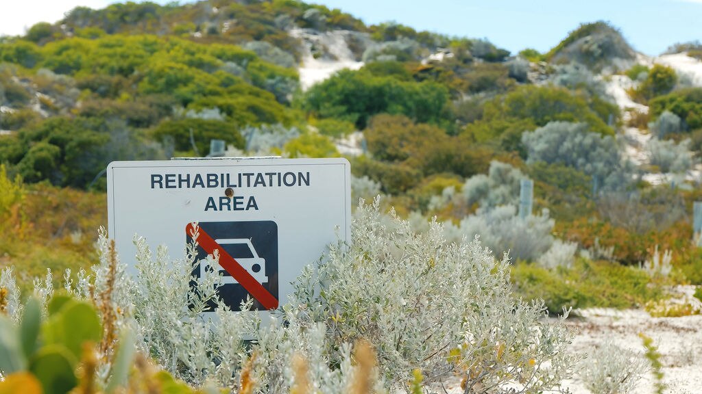 Dune rehabilitation example - ABC News