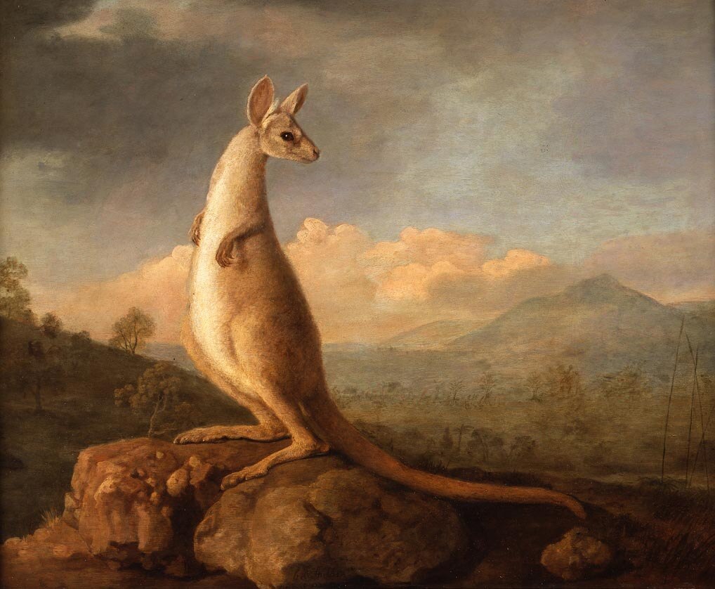 George Stubbs's iconic oil paintings, the first depicting Australia, to ...