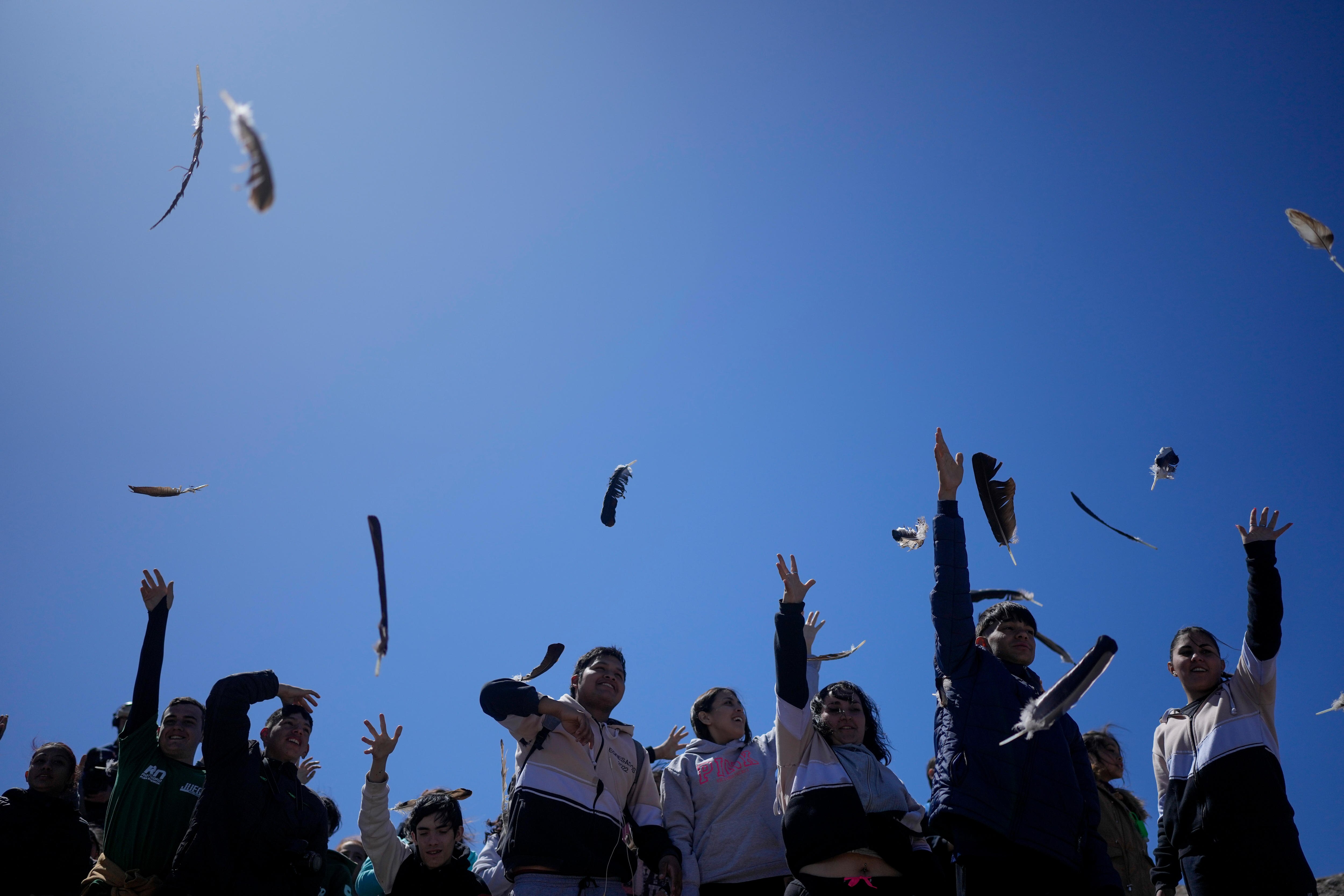 Andean Condor Conservation Program worries good work could be undone as ...