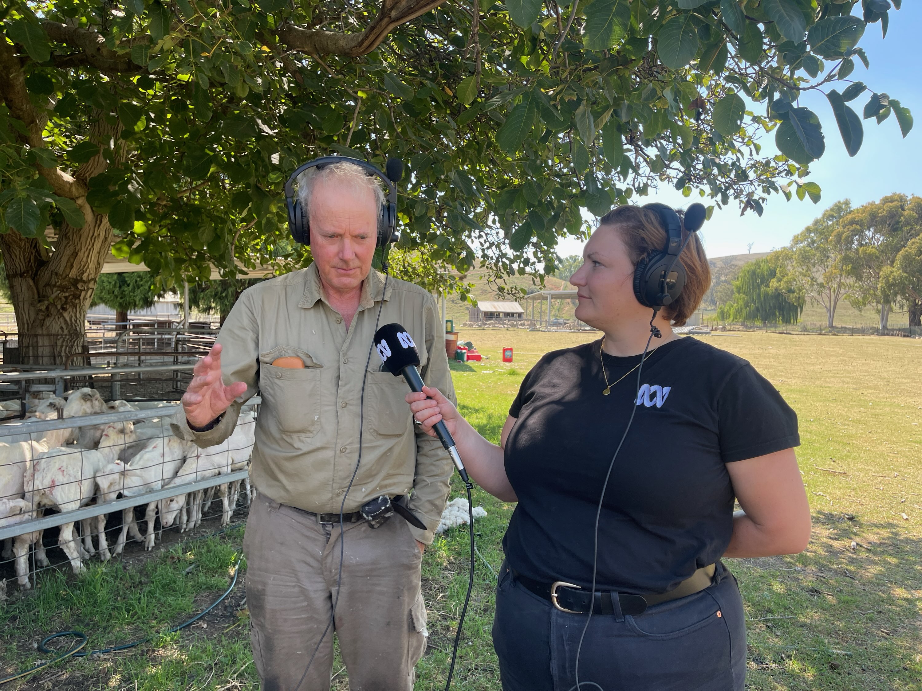 Victorian Country Hour - ABC listen