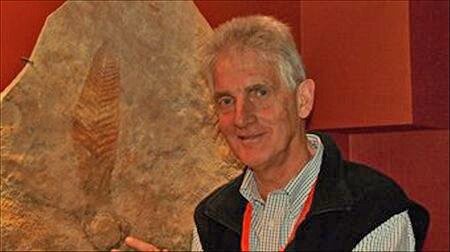 Rare fossils preserved in outback - ABC News