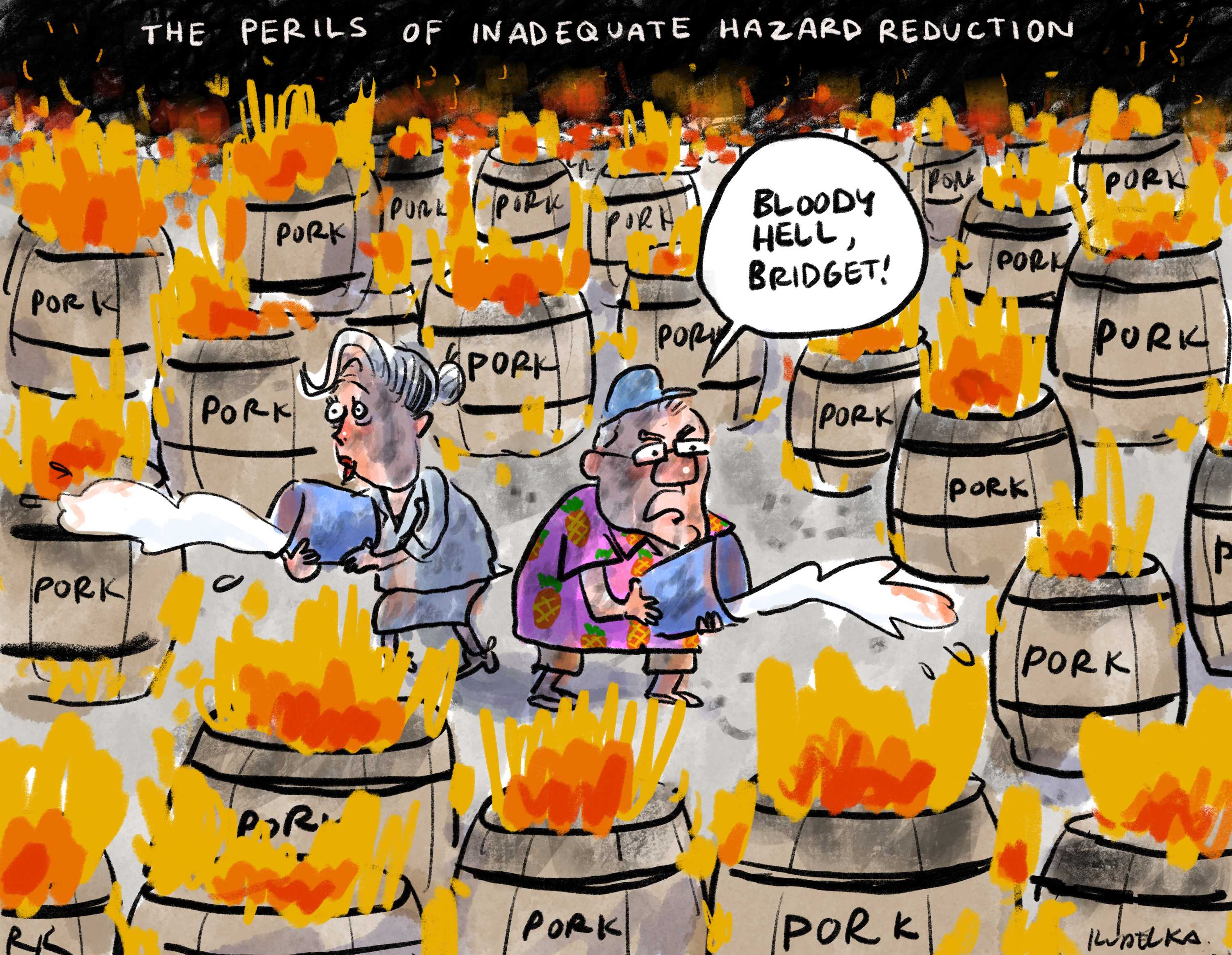 The 'dog's breakfast' that is 2020 showcased in annual Behind the Lines ...