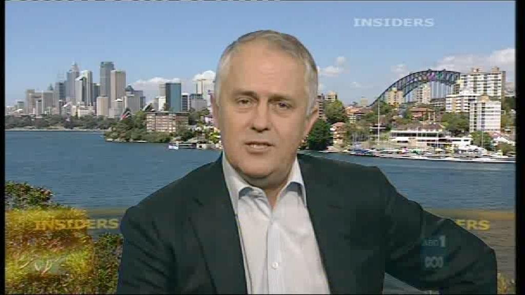 Turnbull discusses climate change ultimatum - ABC News