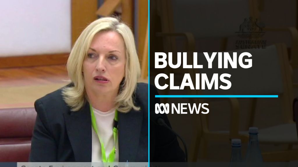 Christine Holgate says she was 'bullied' out of her role - ABC News