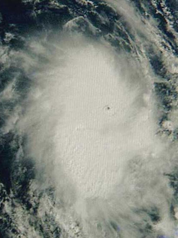 Banks and insurers must prepare for climate-related risk: APRA - ABC listen