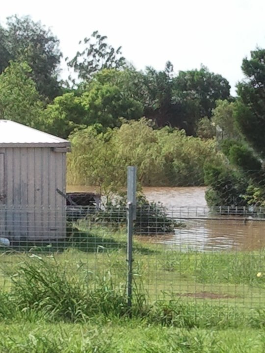 Brassall: Queensland floods one year on - ABC News