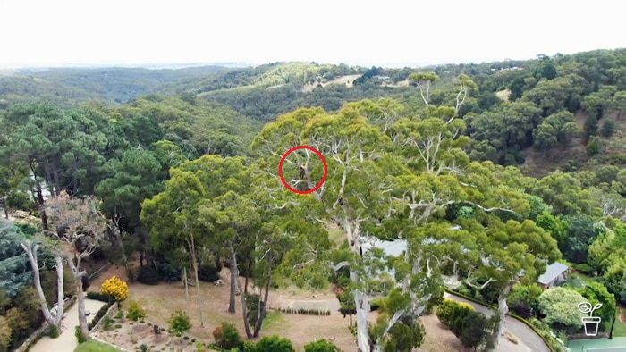My Garden Path - Duncan Young - Gardening Australia My Garden Path - Duncan Young - Gardening Australia