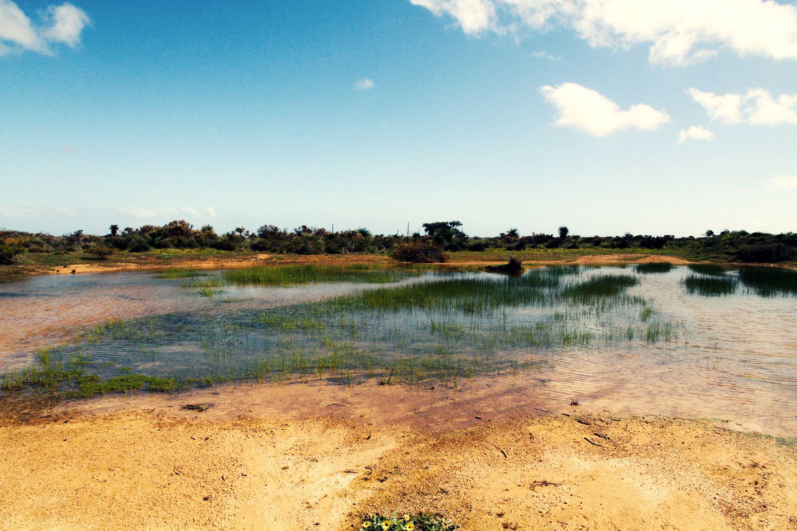 Dandaragan Shire decides on lobbying for water protection over taking ...