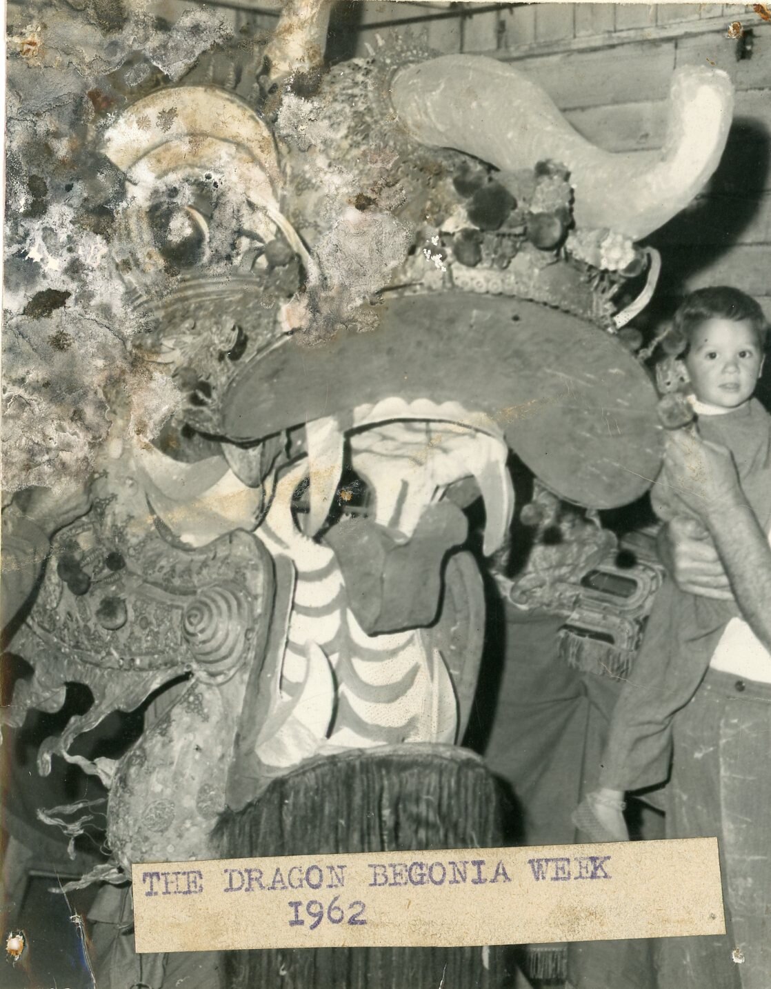 Unveiling Ballarat's 'hidden' dragon during Lunar New Year as the ...