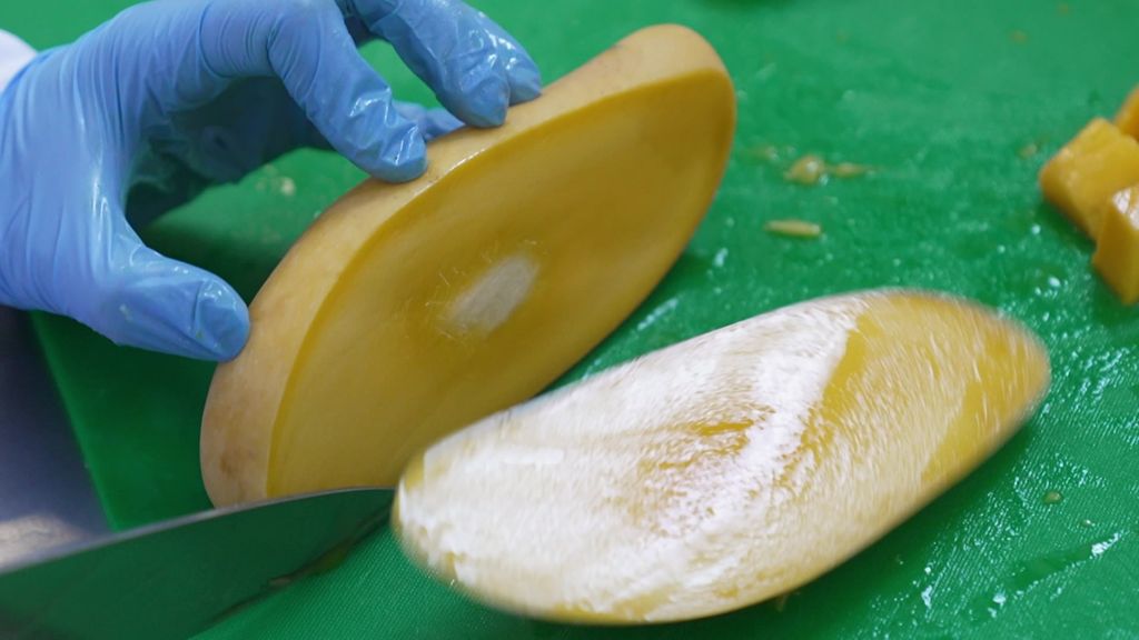 Mango Genes: Breeding better mangoes - ABC News