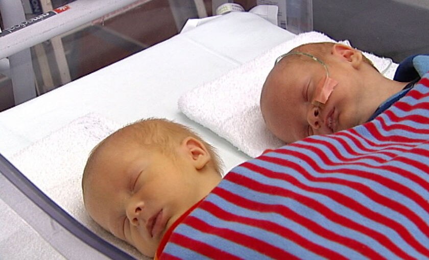What can we learn from twins? - ABC listen