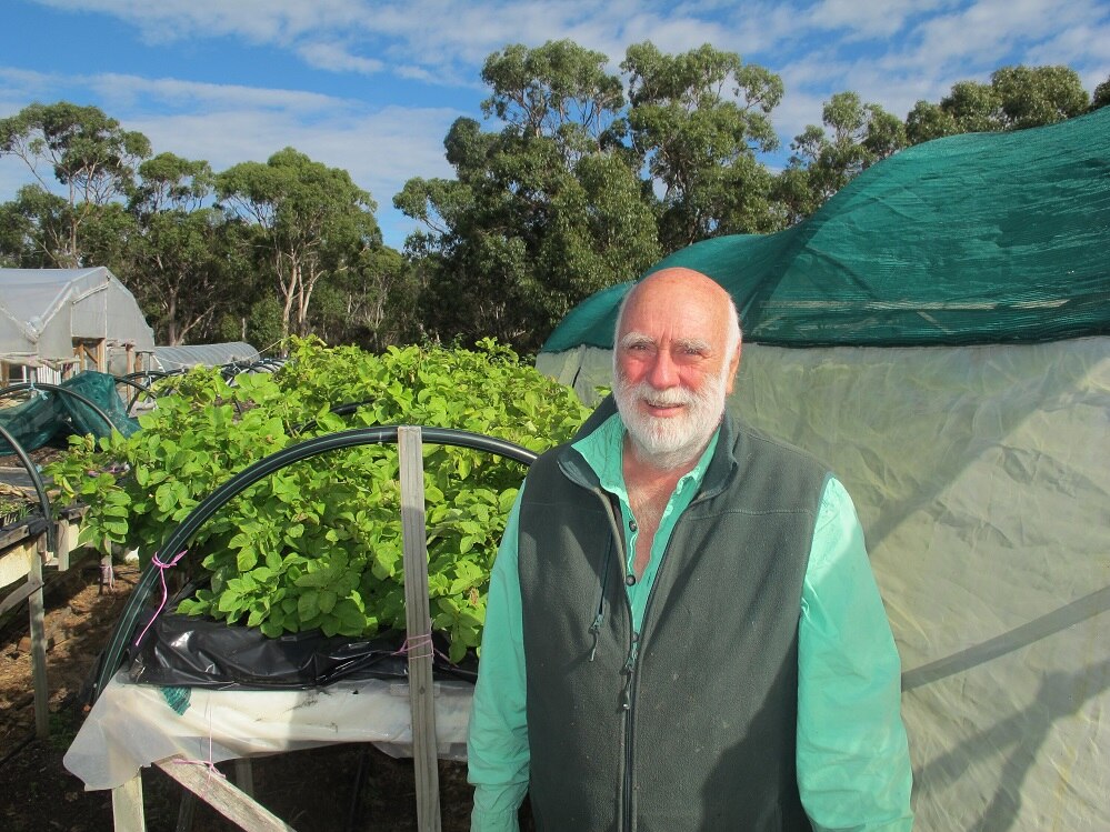 Just how much produce can you grow in an area that amounts to one fifth ...