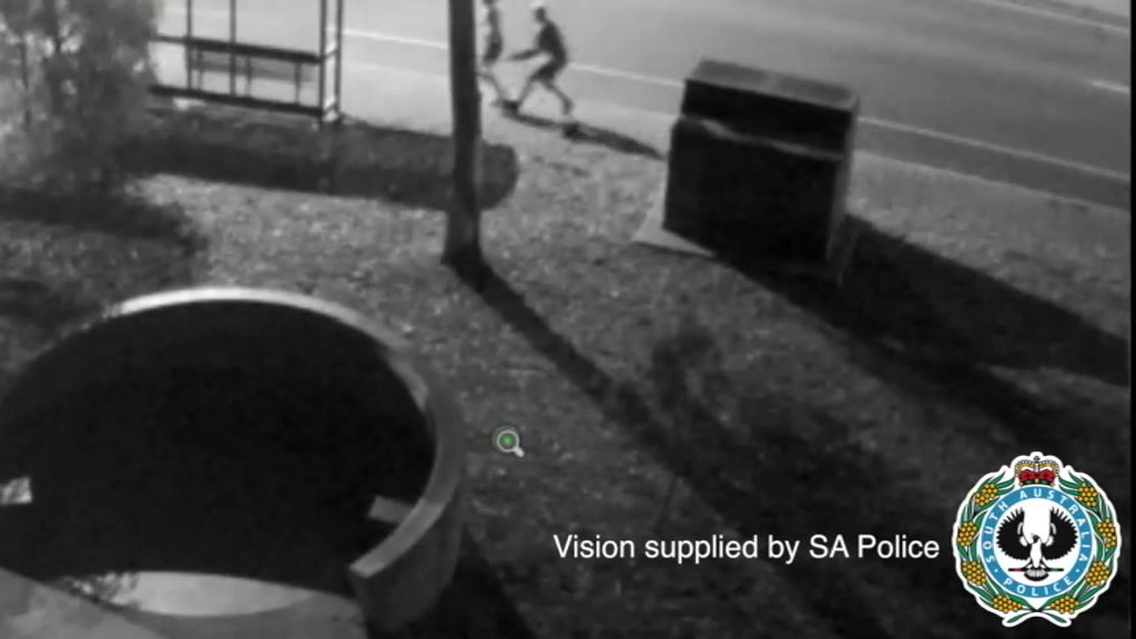 CCTV footage of the assault - ABC News