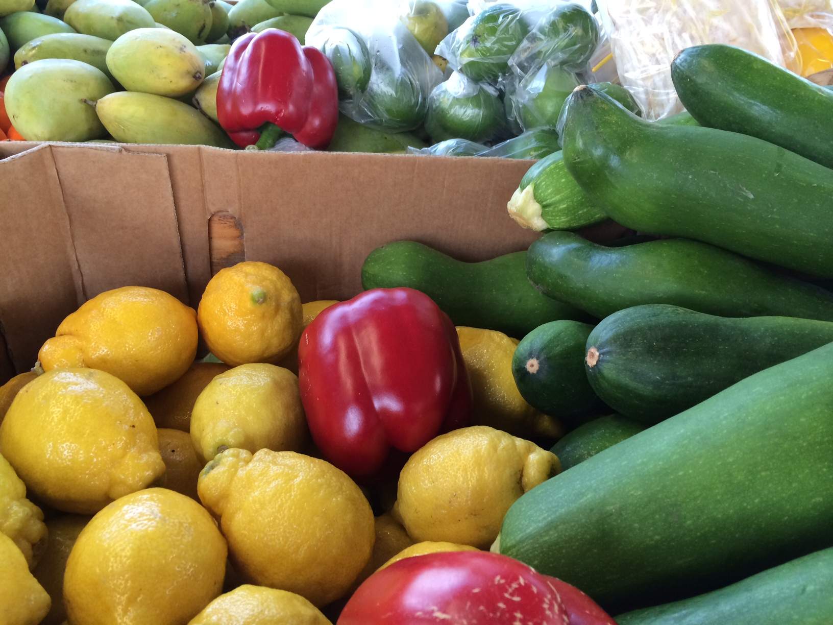 Organic farmers' market springs up in Darwin suburb of Malak - ABC News