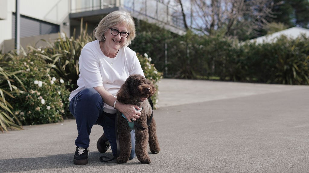 Labradoodle health issues after buyers buy from breeder - ABC News
