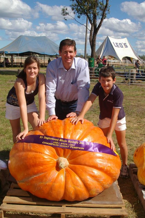 Springborg grows what could be Qld's largest pumpkin - ABC News