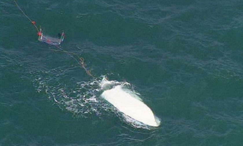 Fisherman's body found, mate missing - ABC News