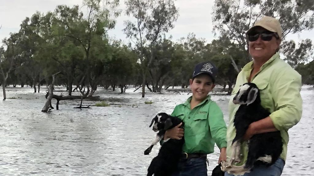 Outback farmers rescue goats from flooded property - ABC News