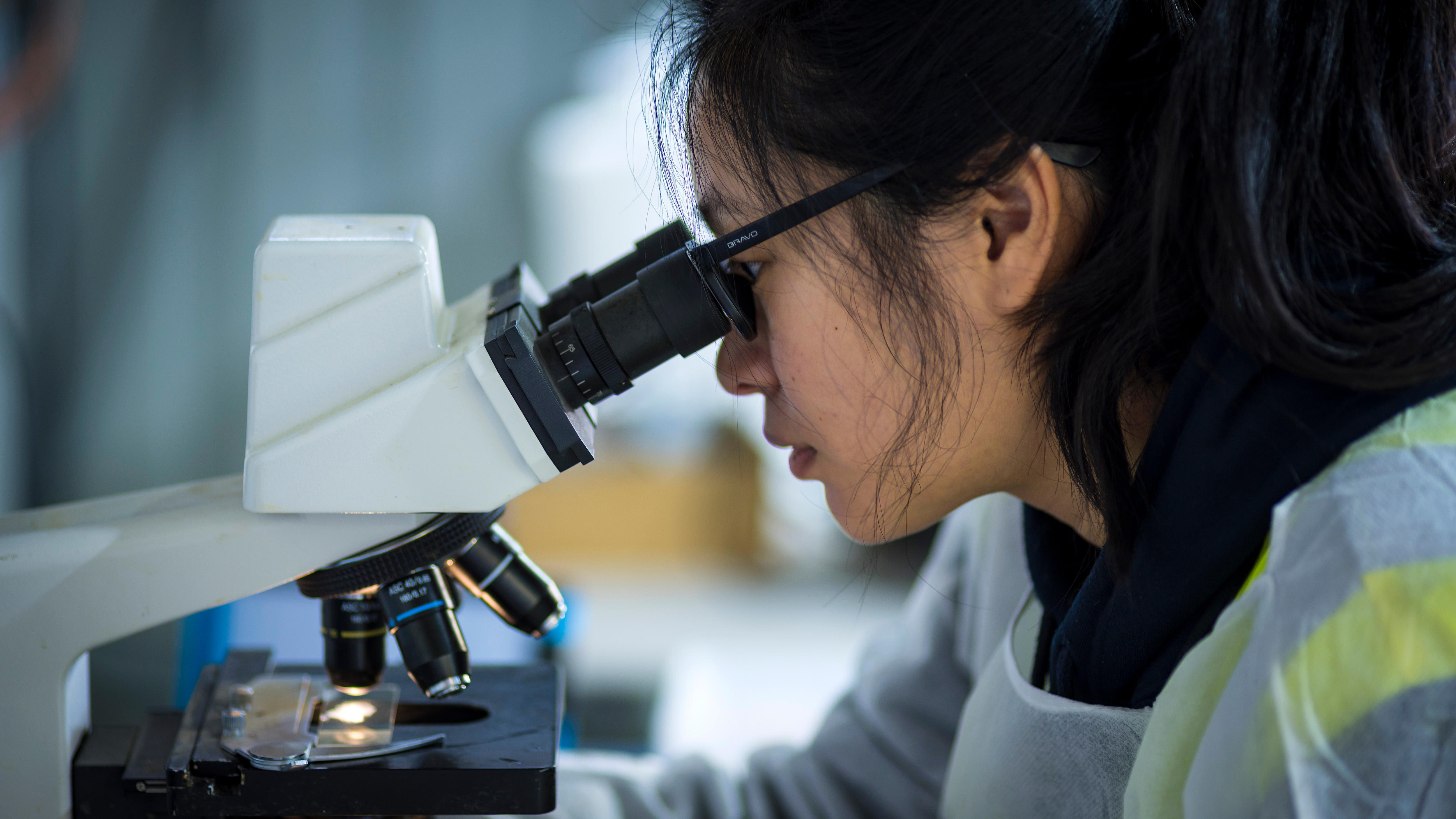 Tasmania's Petuna Aquaculture builds sperm database to breed climate ...