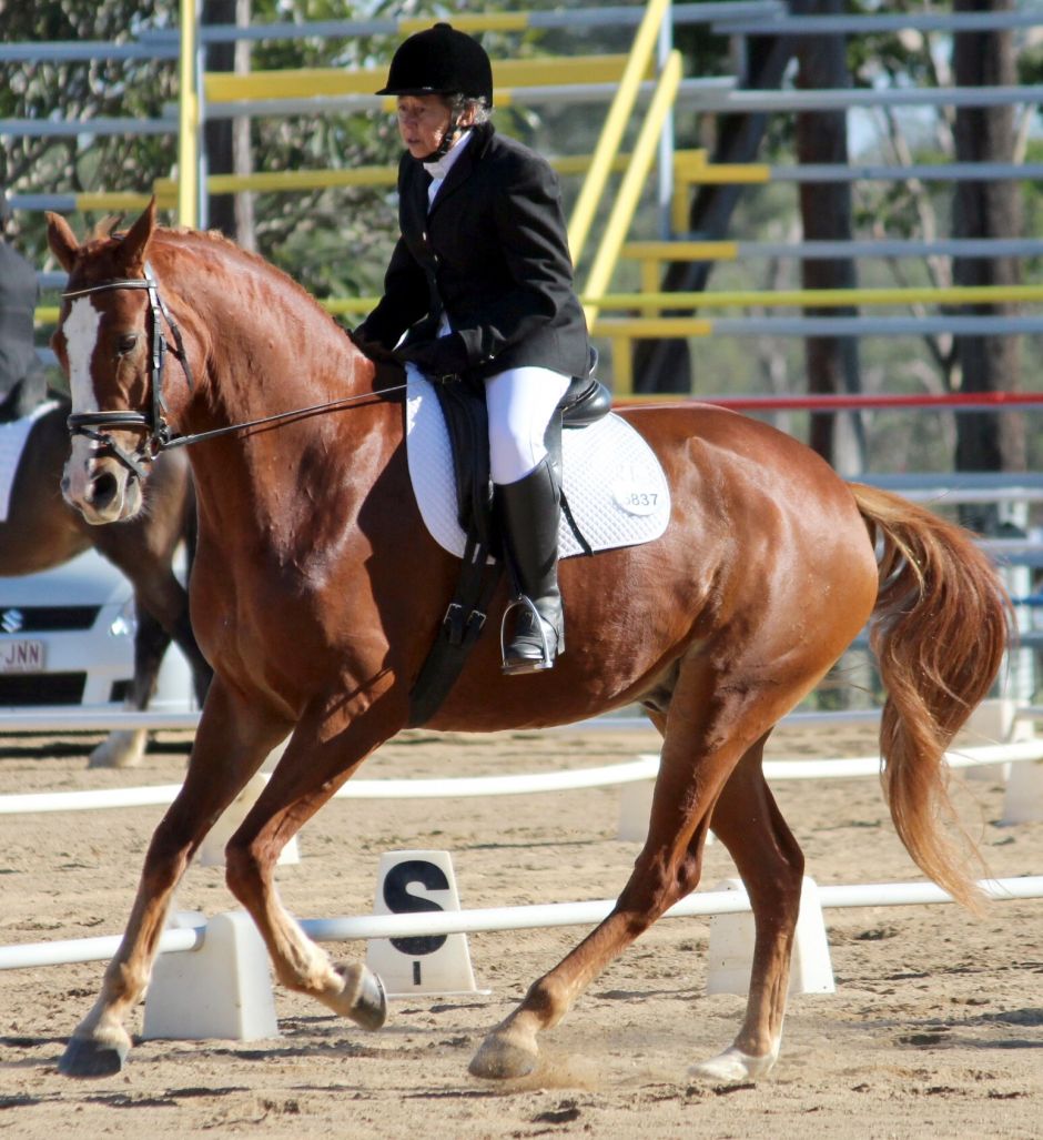 Age no barrier for senior dressage master Esther Brooks - ABC News
