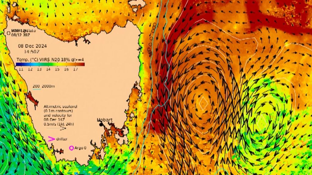 Tasmanian sea surface temperatures for December 2024 - ABC News