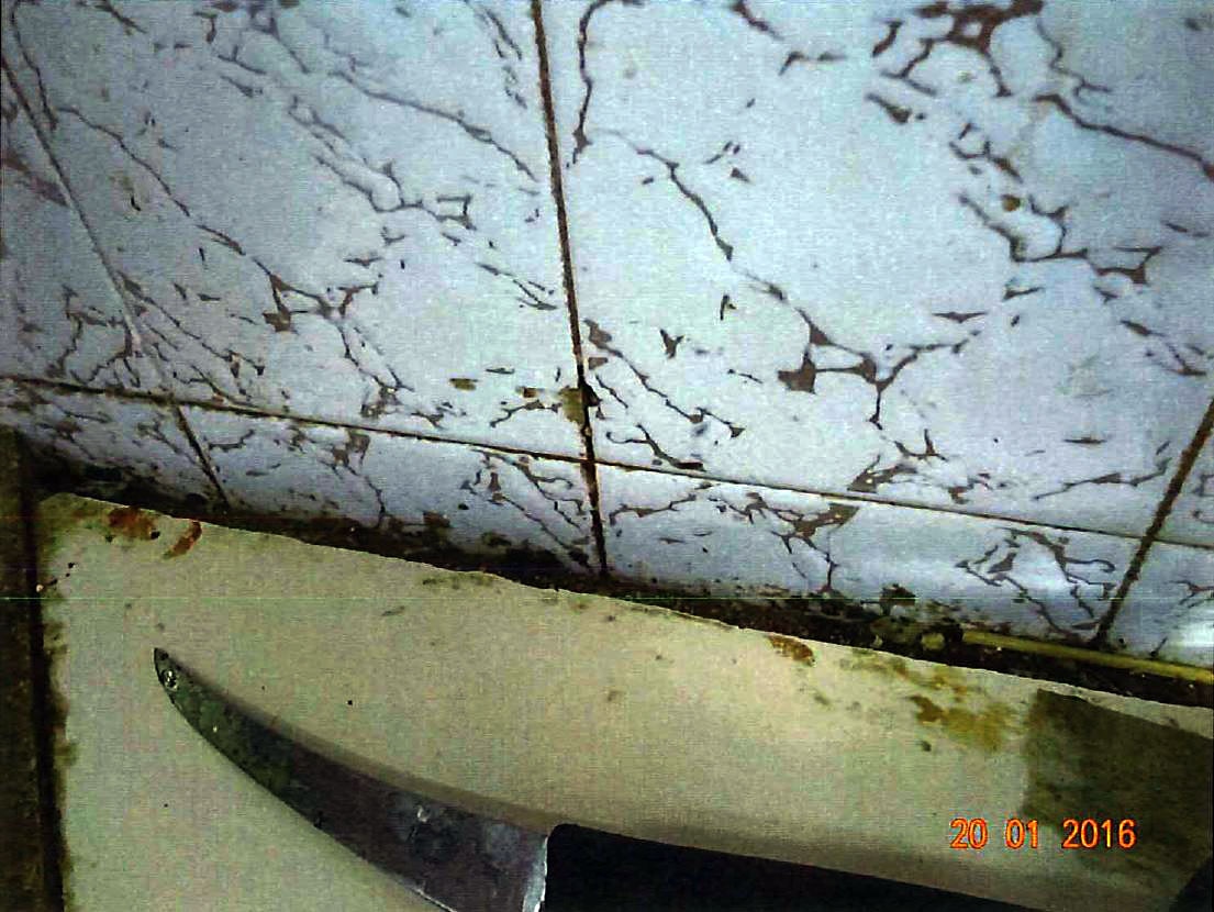 Pest-infested, filthy eateries going years without inspections in ...